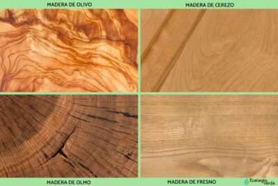 ¿Cuál es la clasificación de la madera? - MADERIA.es