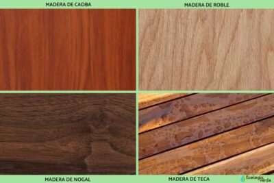 ¿Cuál es la madera de mejor calidad? - MADERIA.es