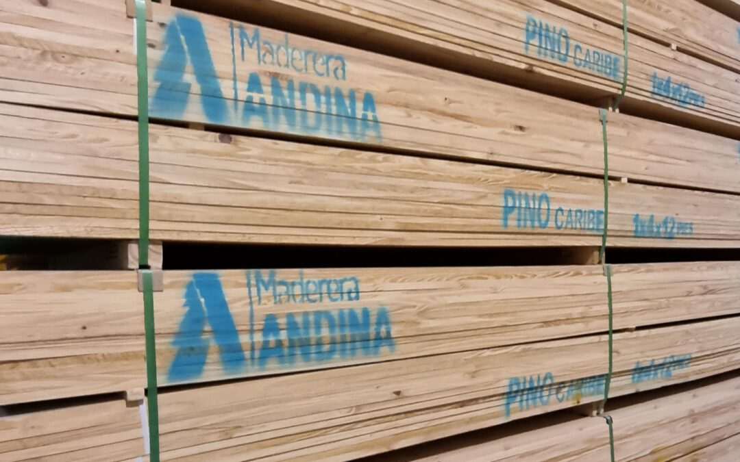 ¿Es la madera más duradera que el hormigón? - MADERIA.es