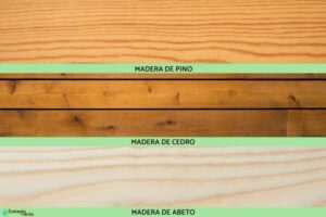 ¿Qué es clasificacion de la madera? - MADERIA.es